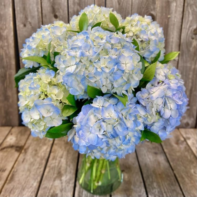 Foxboro MA Florist ⋆ Judy's Village Flowers ⋆ Established 1990