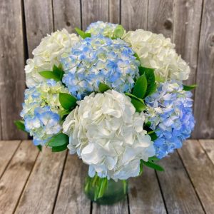 Peace Lily / Spath - Extra Large ⋆ Judy's Village Flowers ⋆ Foxboro MA